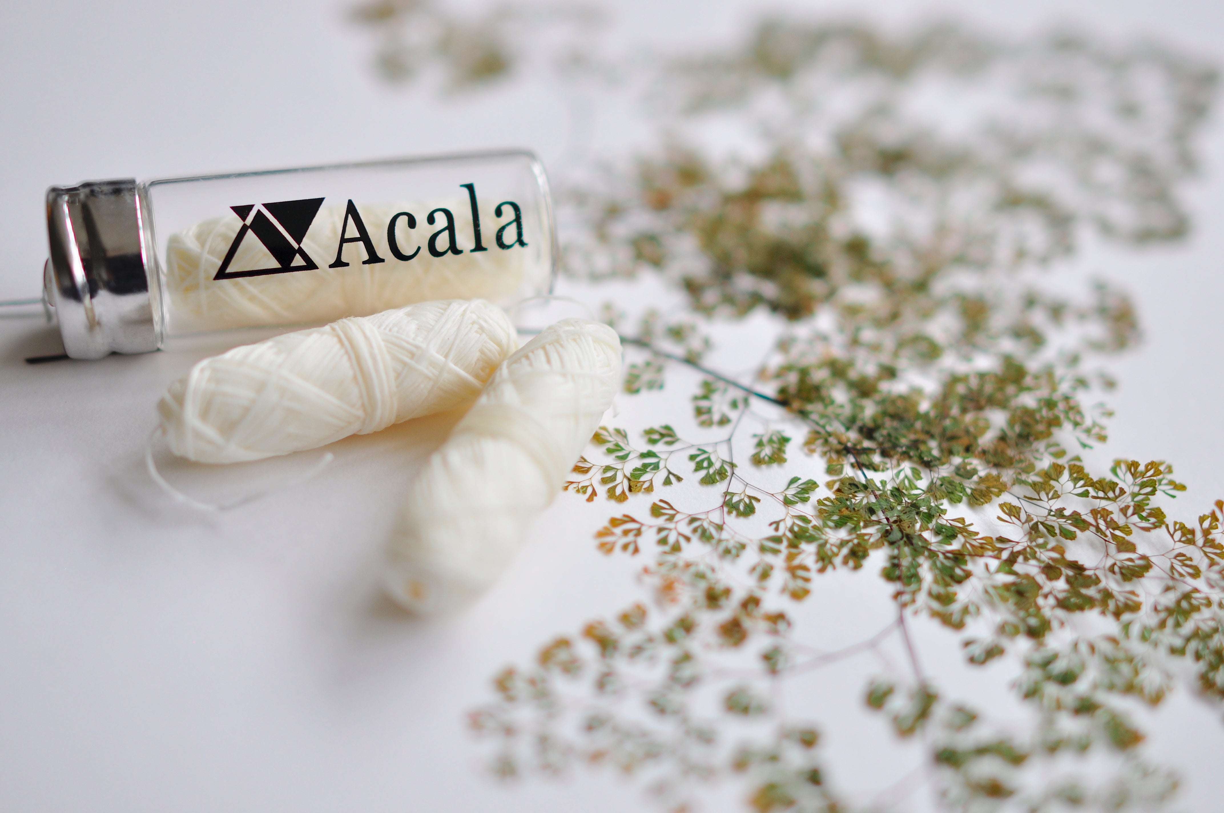 Buy Refillable, Vegan Dental Floss from Acala | eco & vegan - Acala